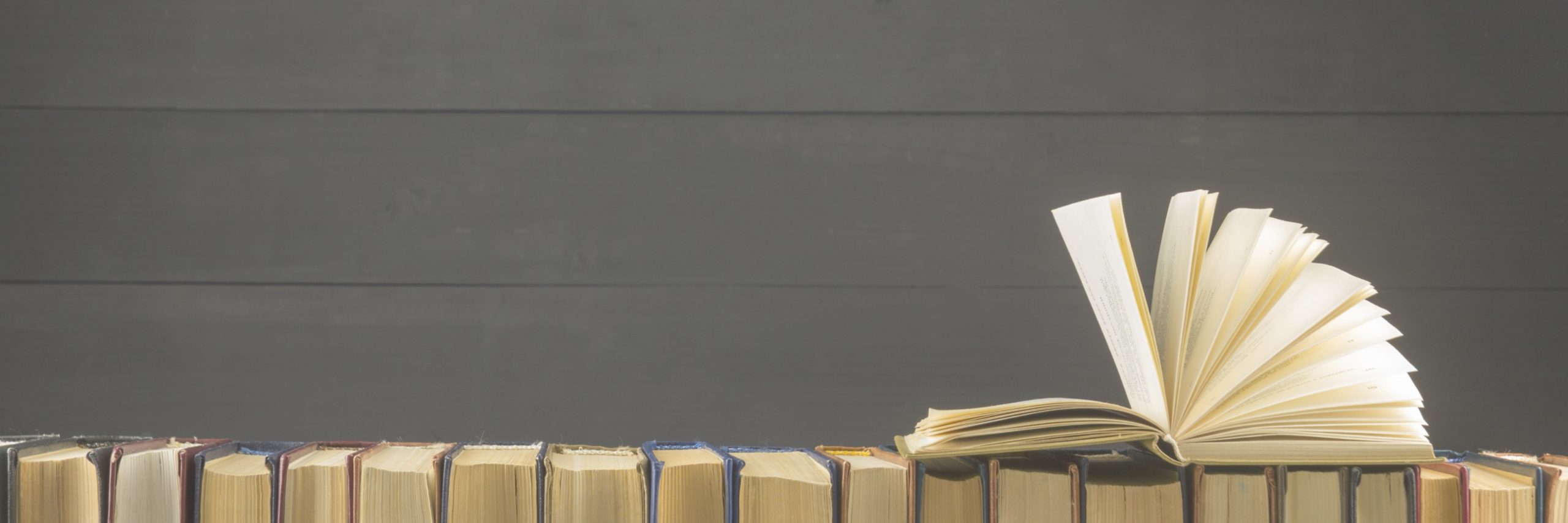 Library | Brochures & literature - Axinesis